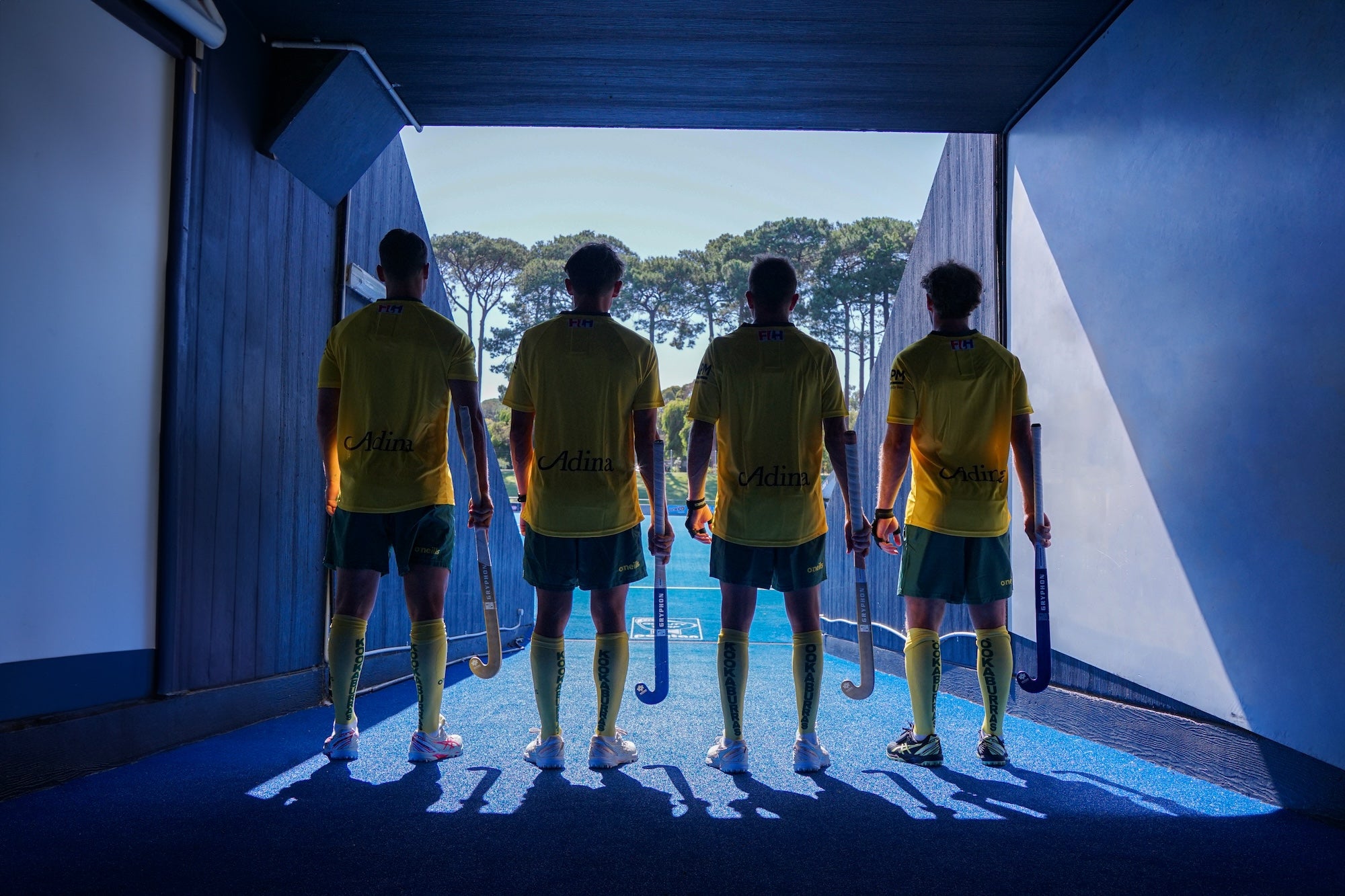 GRYPHON Chrome Cobra P25 Indoor GXXII – Planet Hockey